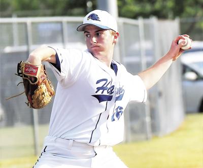 Pitching staff leads Hamel Hawks | Sun Sailor | hometownsource.com