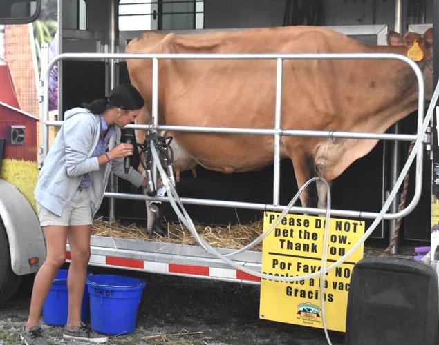 MILK AID: Southwest Dairy Farmers returns to SCFF to teach about dairy ...