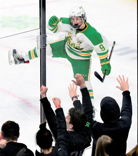 Edina, Tonka meet in state girls hockey semis | Free | hometownsource.com