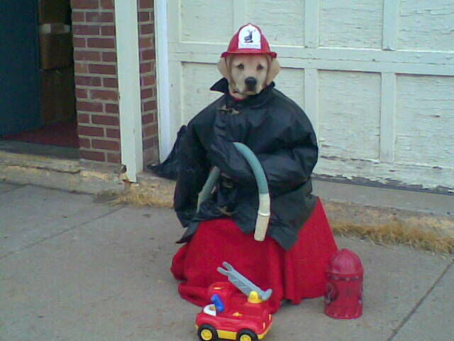 Mr. Ubu rides into retirement at Guardian Angels | Elk River Star News ...