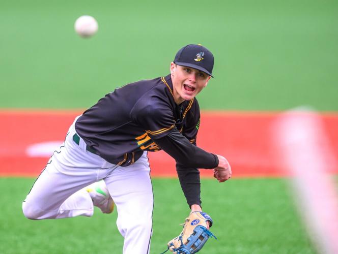 Vermilion baseball gets season sweep over Mesabi Range | APG State News ...