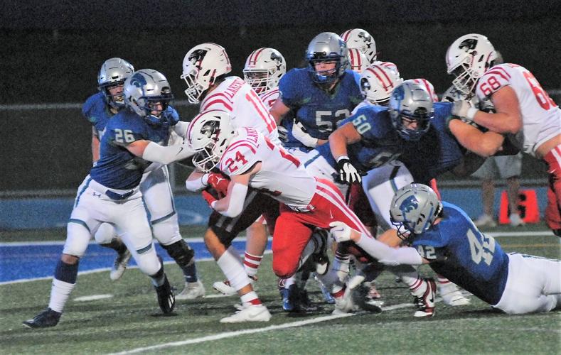 Panthers offense rumbles, then the weather does | Sports ...