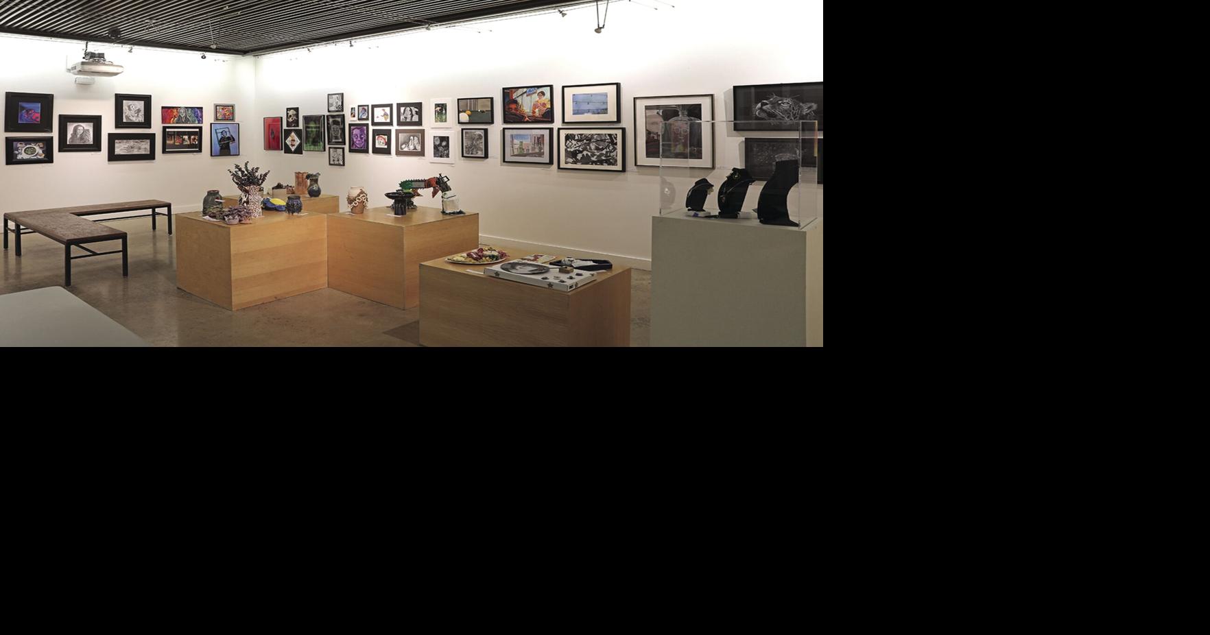 Despite canceled awards ceremony, NHCC high school art show inspires ...