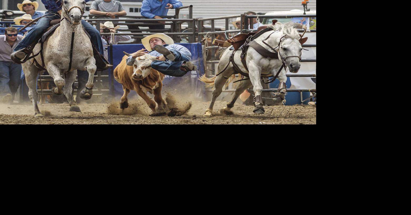 Hamel Rodeo hosts seven rodeo events and more | Press And News ...