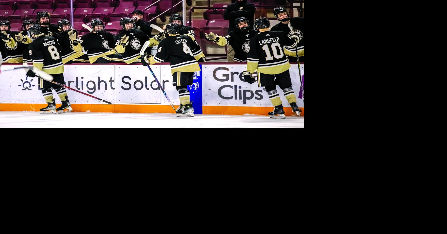 Boys hockey: Andover closes season at state | Andover | hometownsource.com
