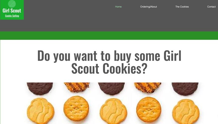Excelsior Girl Scout launches website to sell cookies | Excelsior/South ...