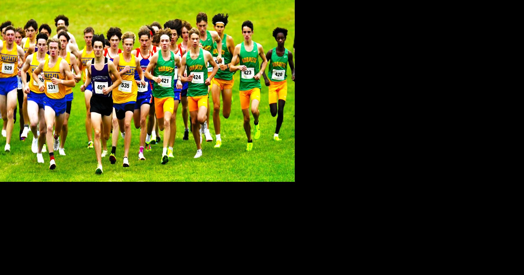 Wayzata boys win section cross country title | Sun Sailor ...