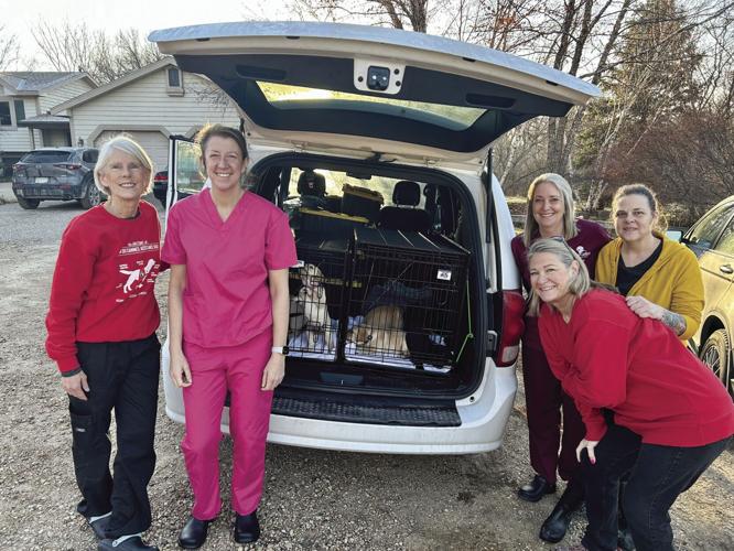 Can Do Canines puppies set to work with inmates | Free | hometownsource.com