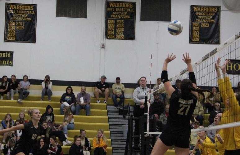 No. 2 Caledonia Area volleyball blasts past No. 15 Lourdes in Section ...