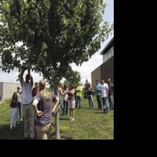 Become a Maple Grove Tree Steward | Local News | hometownsource.com