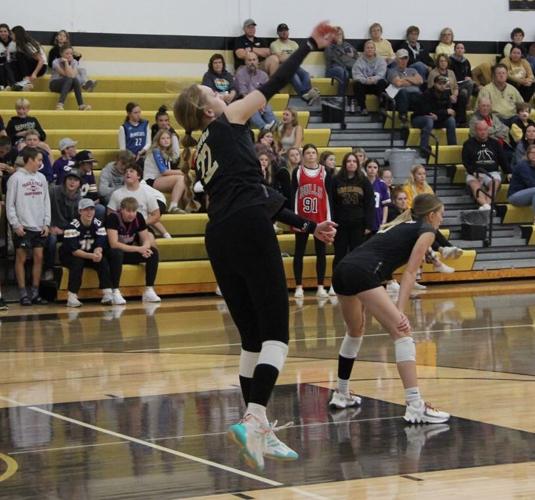 No. 2 Caledonia Area volleyball blasts past No. 15 Lourdes in Section ...