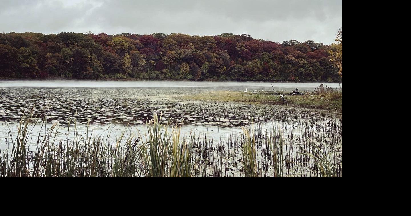 Living large on a small lake - exploring natural environment lakes ...