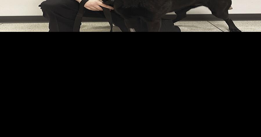 Ruff and ready: Hopkins Police restarts its K9 program | Hopkins ...