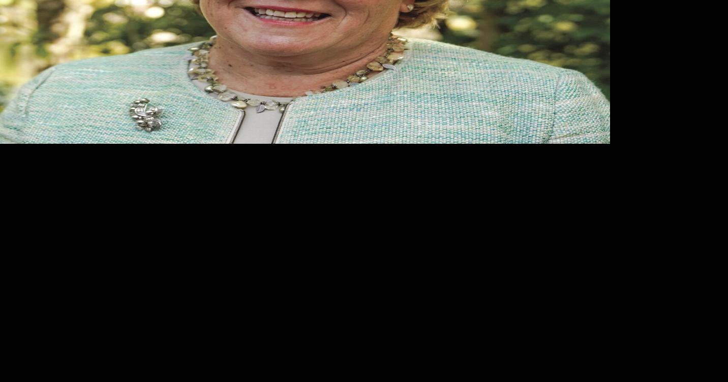 Ann Johnson Stewart announces run in Senate District 45 | Free ...