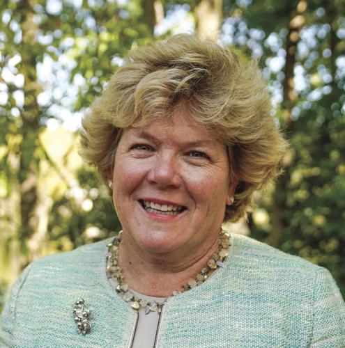 Ann Johnson Stewart announces run in Senate District 45 | Free ...