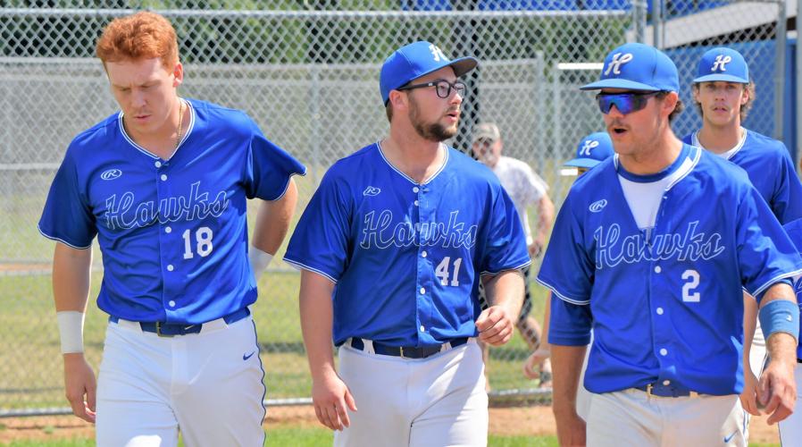 Hamel Hawks earn return trip to state | Sports | hometownsource.com