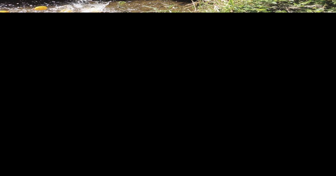 derby days duck drop | | hometownsource.com