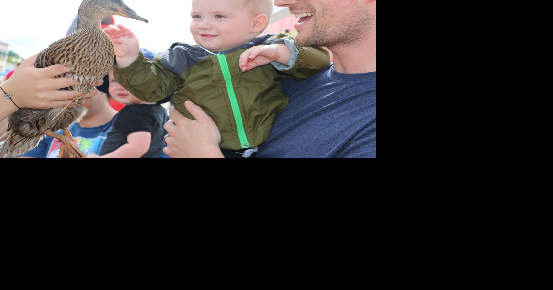 Youngsters delight in animals at Dew Days petting zoo | Farmington ...