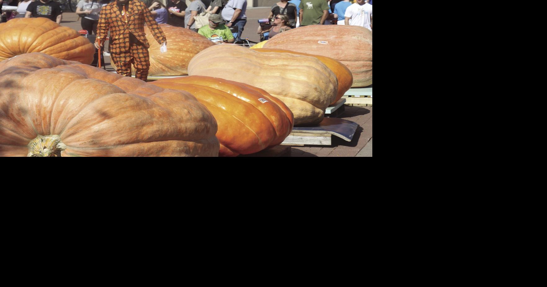 Anoka pumpkin sets new site record | Anoka | hometownsource.com