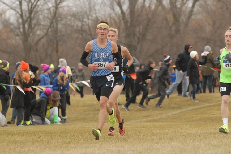 Cross-Country: Blaine boys earn 12th at state, Anoka's Nelson 14th in ...