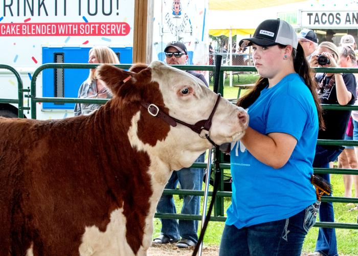 Sherburne County Fair 2024 in pictures | Elk River Star News ...