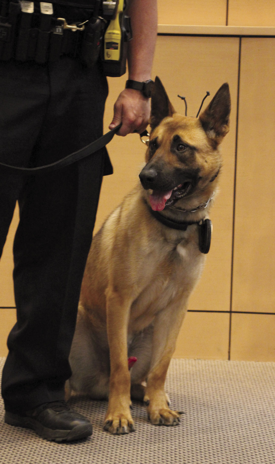 Maple Grove officers recognized for life-saving efforts | Government ...