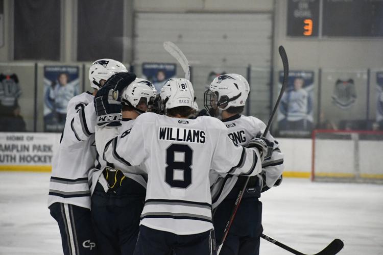 Champlin Park boys hockey: Rebels split games in final week of regular ...
