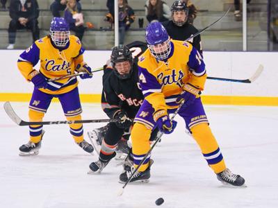 Wildcats split pair of games | Sports | hometownsource.com