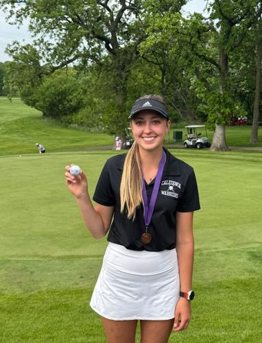 Caledonia golfers compete in sections, Hayden Harms advances to state ...
