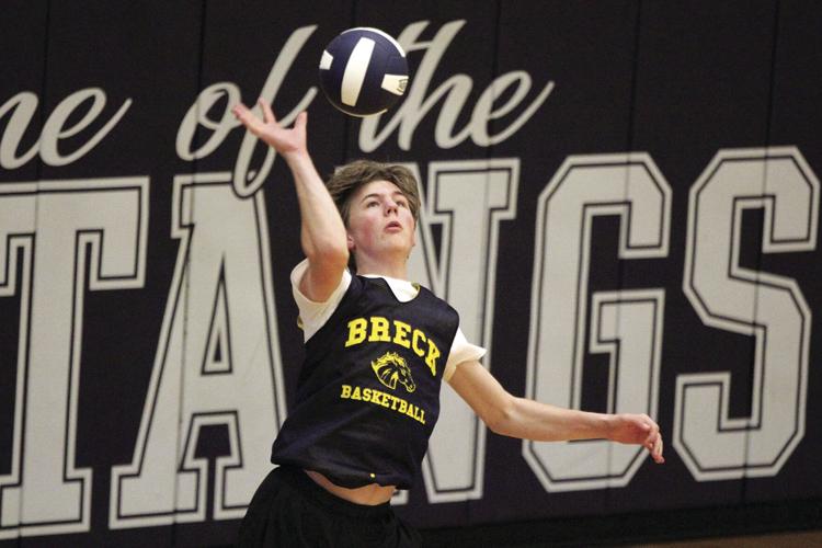 Falcons dominate volleyball opener against Breck | Sports ...