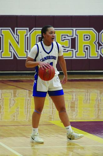 Bluejackets stung by section loss at Forest Lake | Local News ...