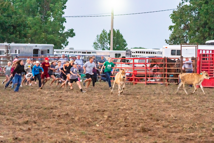 Enjoy more Houston County fair photos | | hometownsource.com