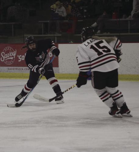 RiverHawks fall to Cougars in section semifinals | Sports ...