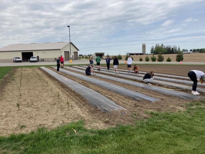 Agriscience education and FFA activities are alive and well in ...