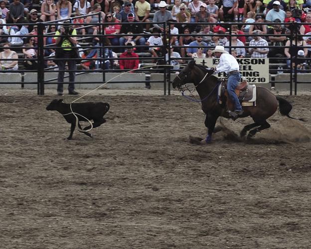 Hamel Rodeo attracts crowd to Corcoran Lions Park | Free ...