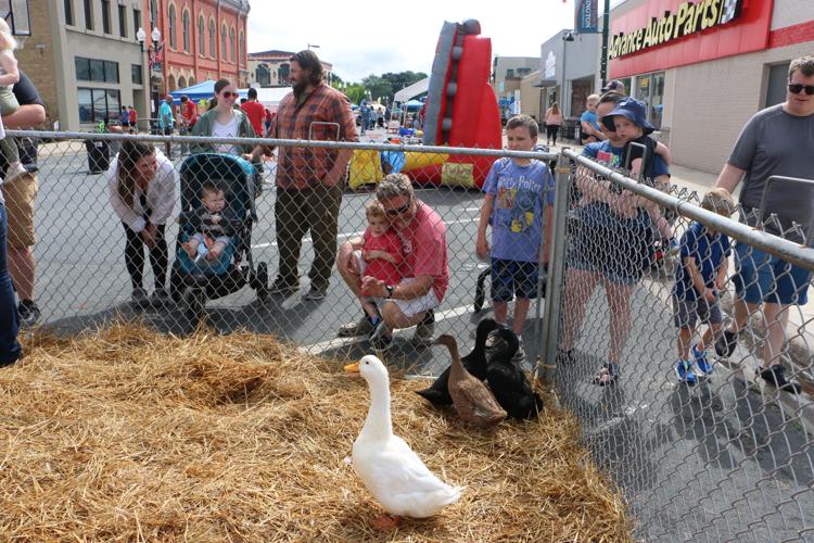 Youngsters delight in animals at Dew Days petting zoo | Farmington ...