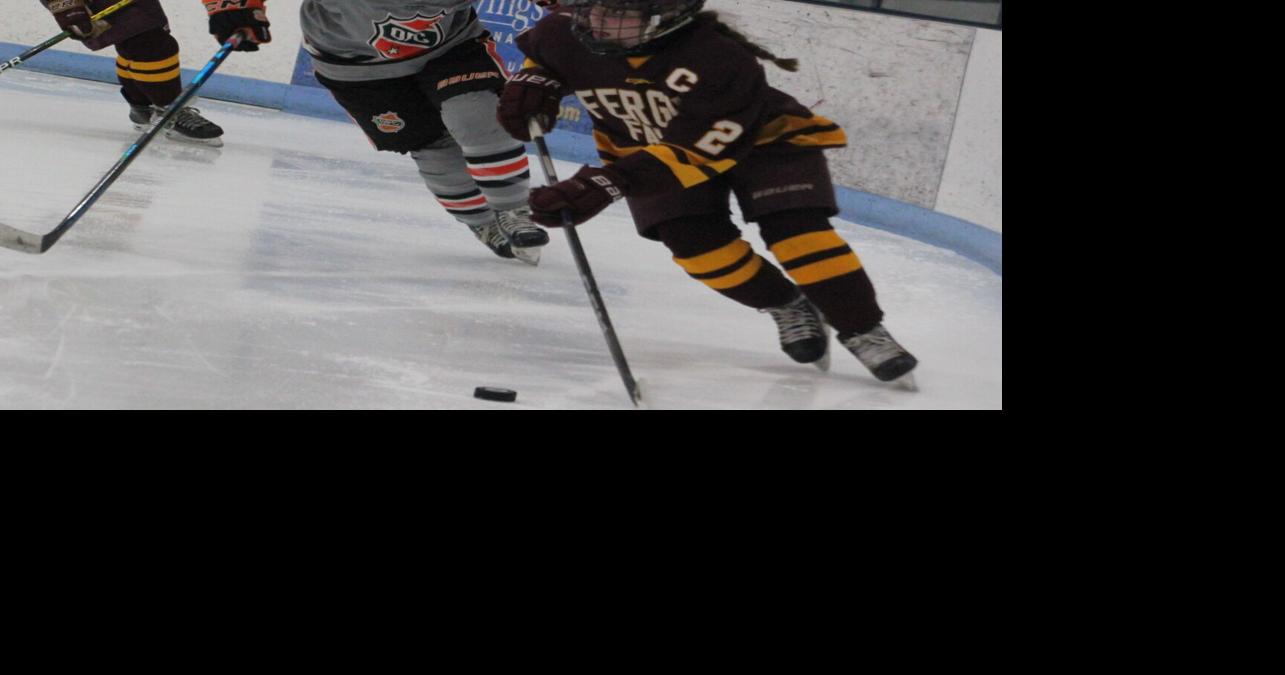 Stars hockey faces Fergus Falls | Sports | hometownsource.com