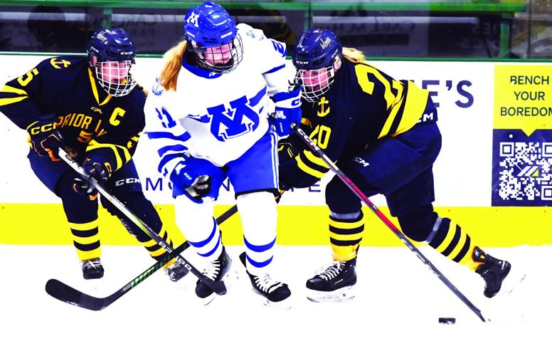 Champion Skippers lead All-Lake girls hockey | Sports | hometownsource.com