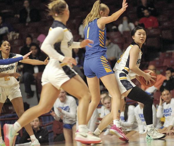 Irish fight back but fall short | Sports | hometownsource.com