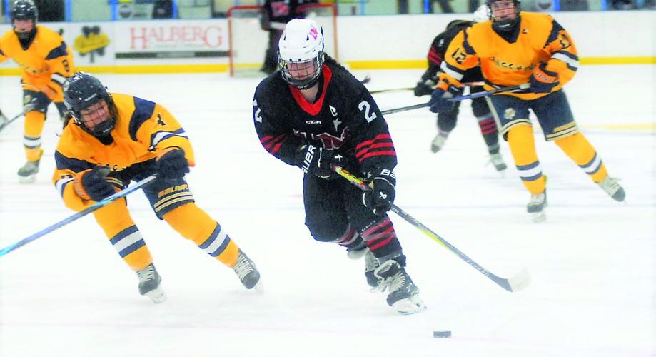 Girls hockey: Tigers, Panthers play in state quarterfinals Thursday ...