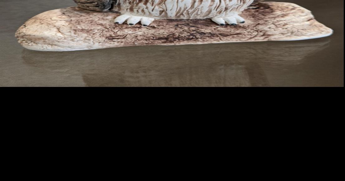 Animal art exhibit on display at Wayzata Library | Free ...