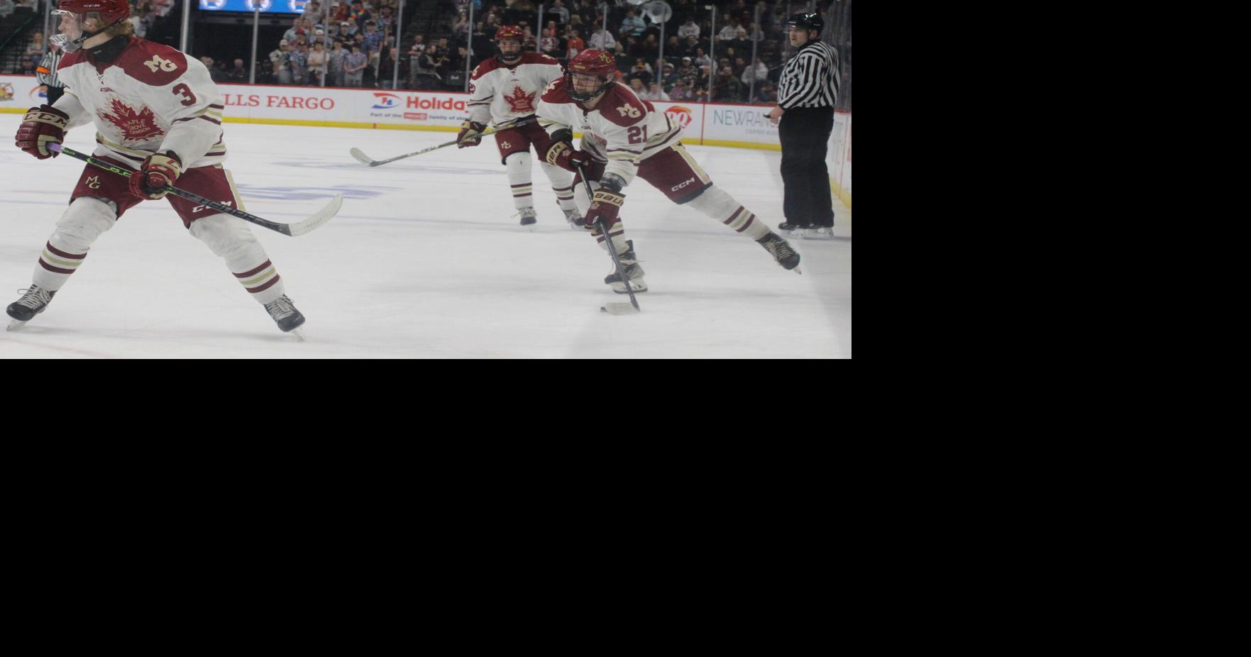 Crimson boys hockey lose Class AA state quarterfinal to Cretin-Derham ...