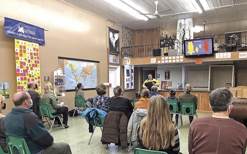 On the prowl for owls in Houston | Local News | hometownsource.com