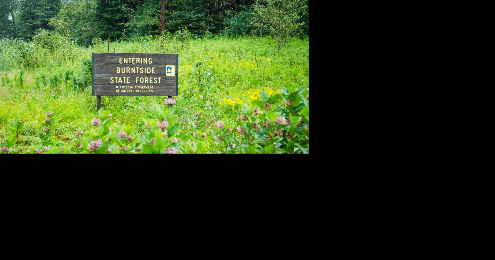 New state forest maps help Minnesotans find summer fun | Elk River Star ...