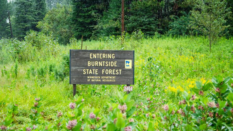 New state forest maps help Minnesotans find summer fun | Elk River Star ...