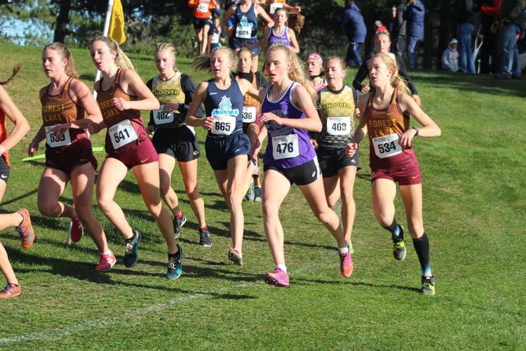 FL cross-country teams extend state streaks with Section 7AA titles ...
