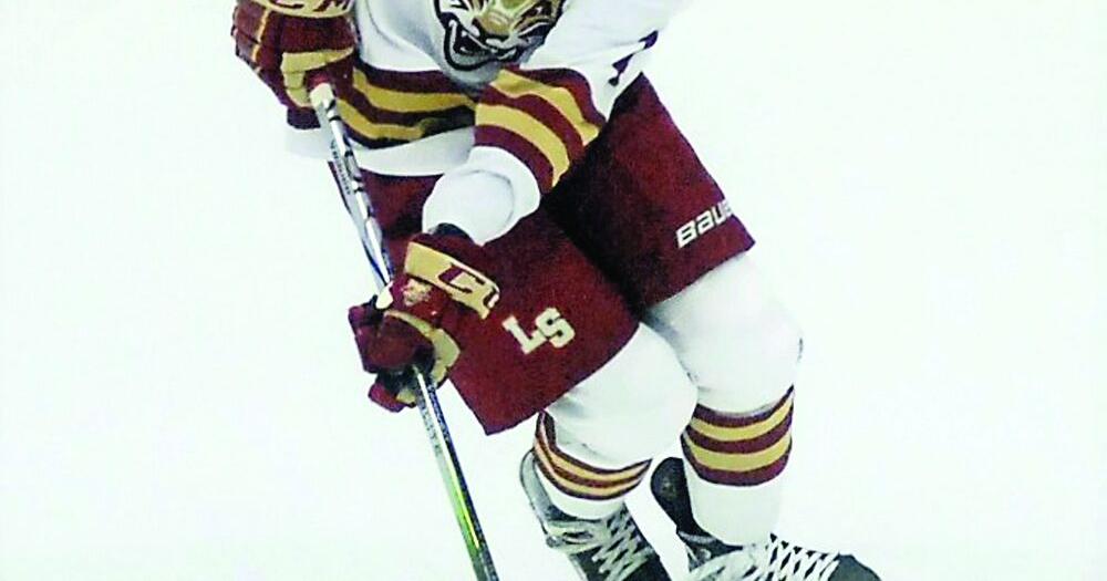 Boys hockey: Talent abundant in South Suburban this season | Sports ...