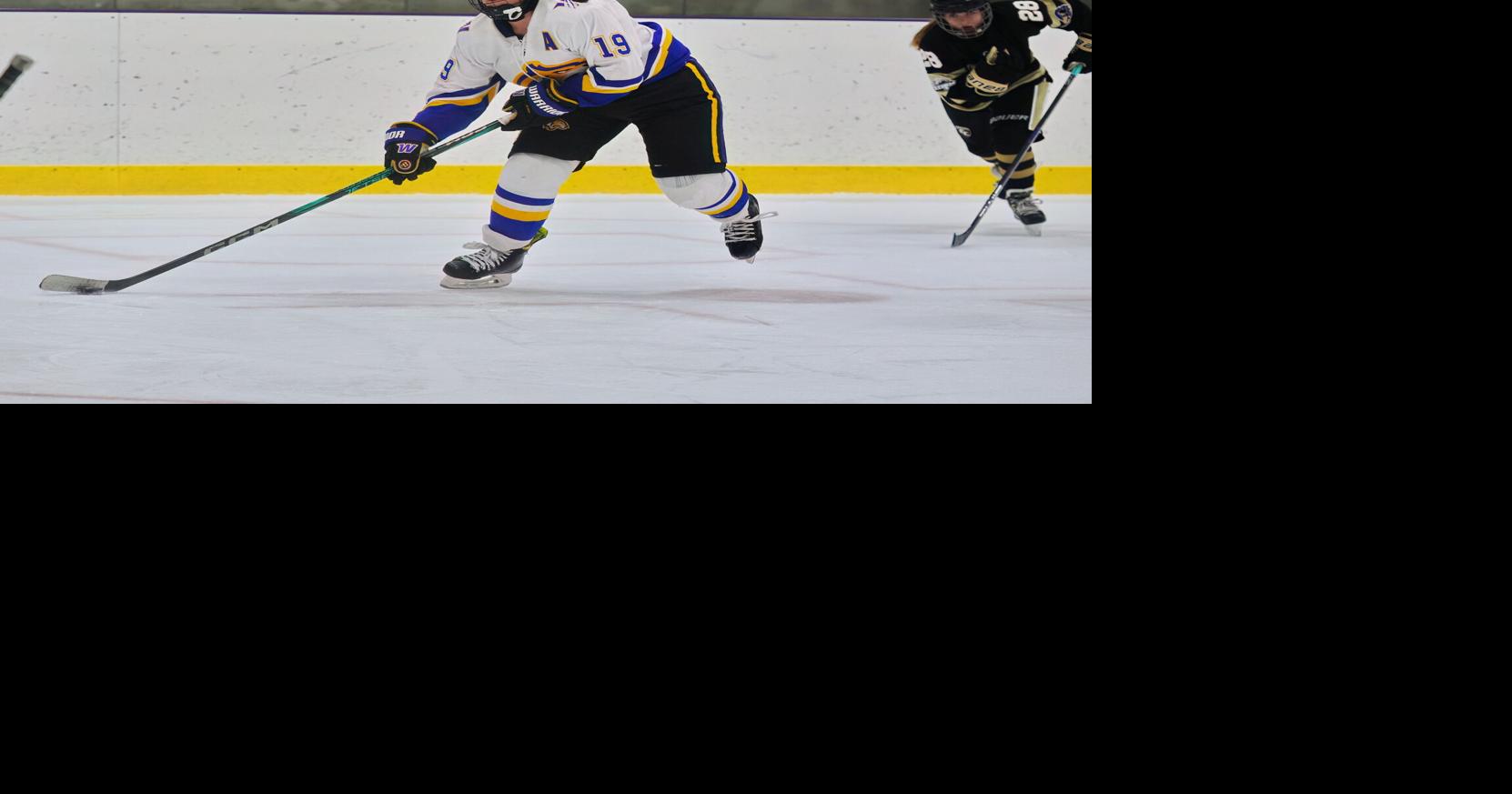 Wildcats win playoff opener on the ice | Sports | hometownsource.com