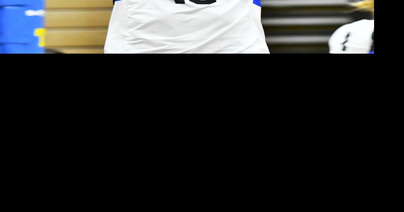 Fall Sports Preview: Rogers volleyball is a state title contender ...