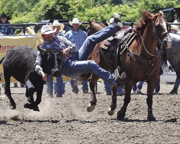 Hamel Rodeo wraps up; Minnesotans among 2018 champs | Press And News ...